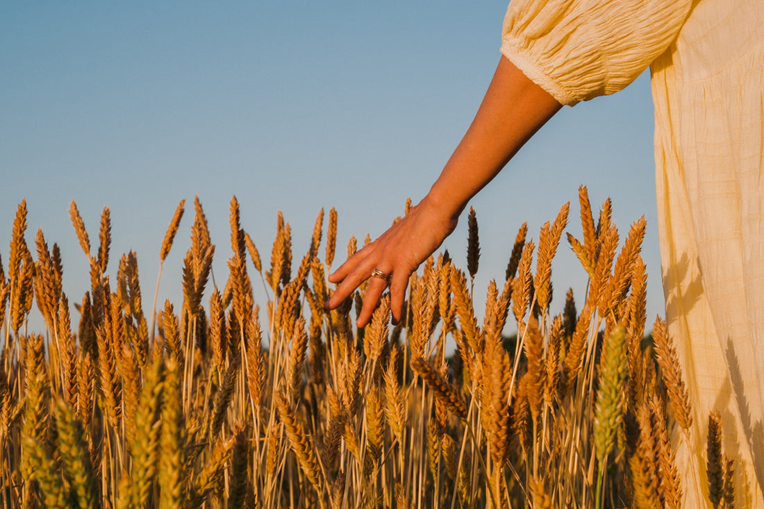 Heritage Oats – Hayden Flour Mills